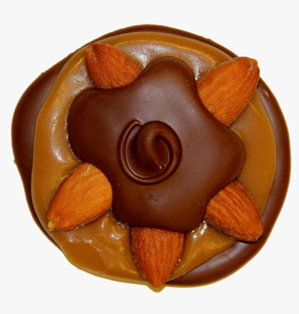 Dark Chocolate Almond Turtle | Turtle Town