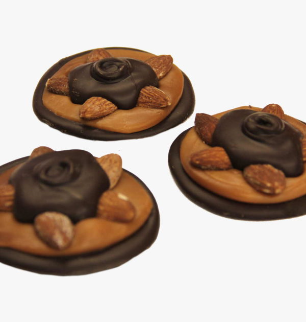 Dark Chocolate Almond Turtle | Turtle Town