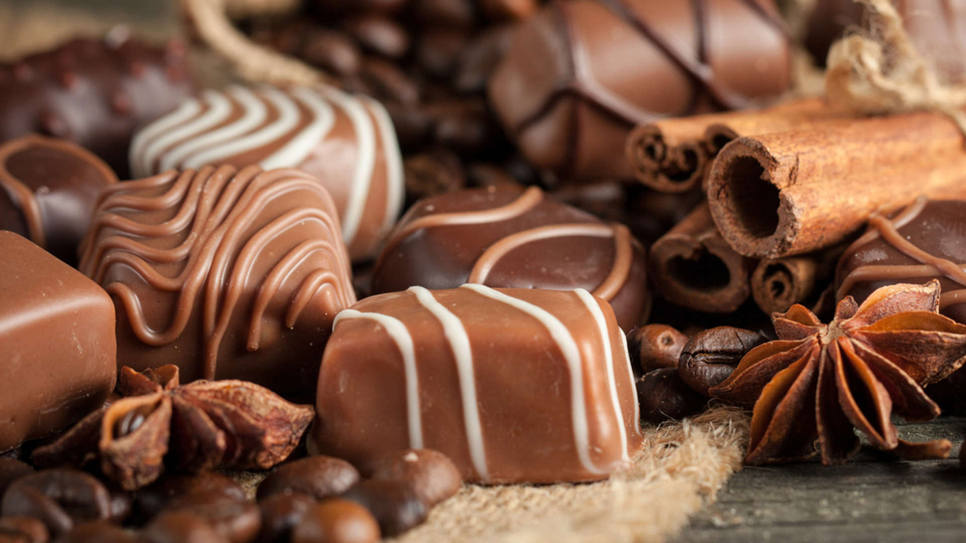 Turtle Town Online Store- fine handmade chocolate and fudge