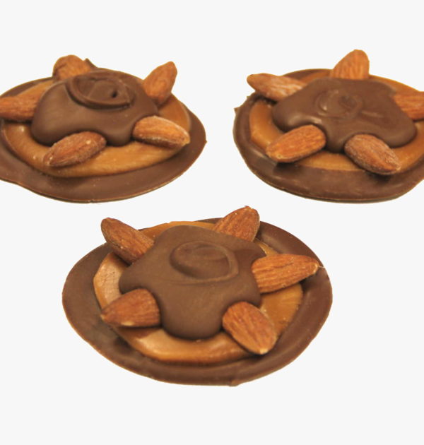 Milk Chocolate Almond Turtle | Turtle Town